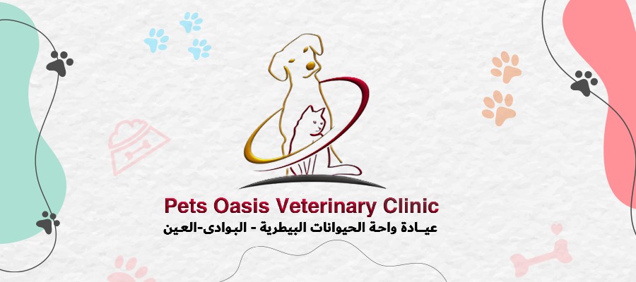 Jobs in Al Ain, UAE | Dubizzle Al Ain